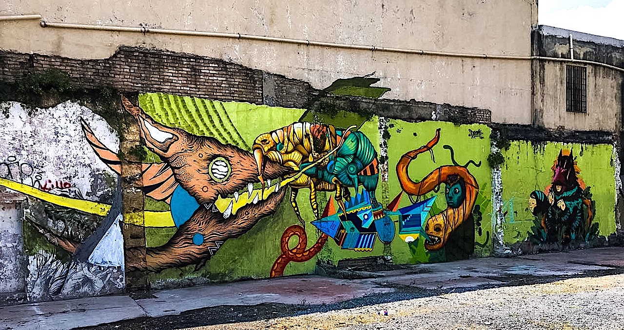 GRAFFITI ARTISTS OF MEXICO - think orange